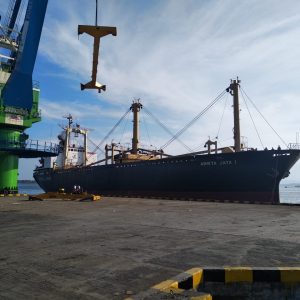 Admiral Lines – We ACT Pro